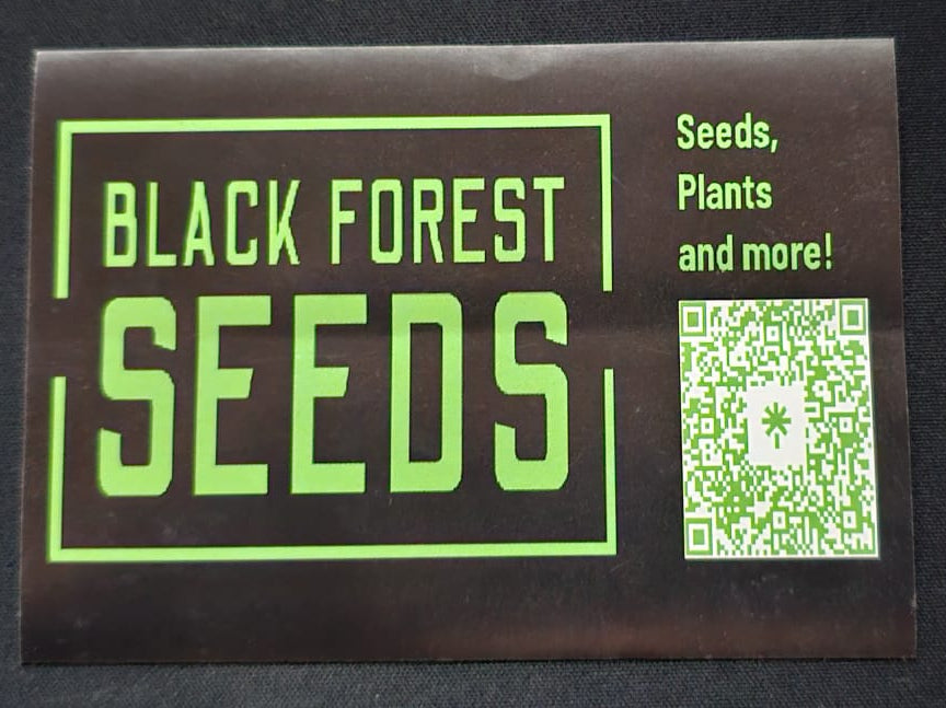 Black Forest Seeds Sticker/Aufkleber